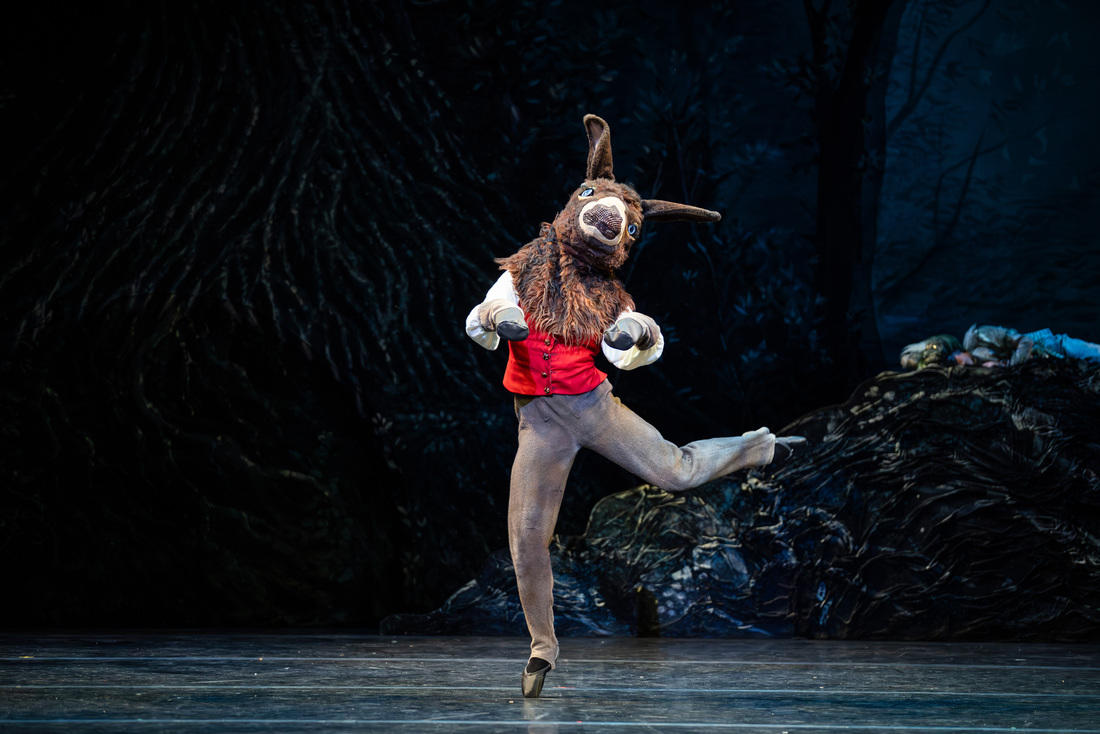 エイミー・ハリスが渾身の演技で有終の美を飾ったオーストラリア初演、アシュトン振付『マルグリットとアルマン』｜チャコット